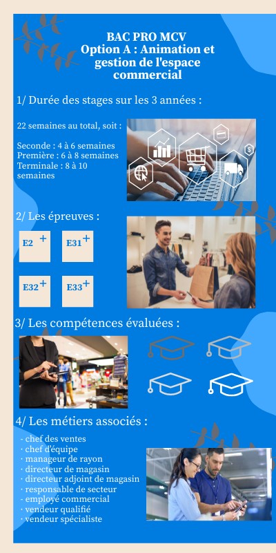 Infographie BAC MCV Option A | Genially