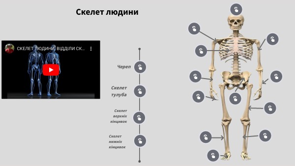 Untitled genially | Genially