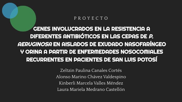 PRESENTACIÓN PROYECTO TS