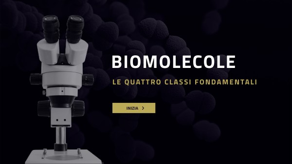 Le Biomolecole | Genially