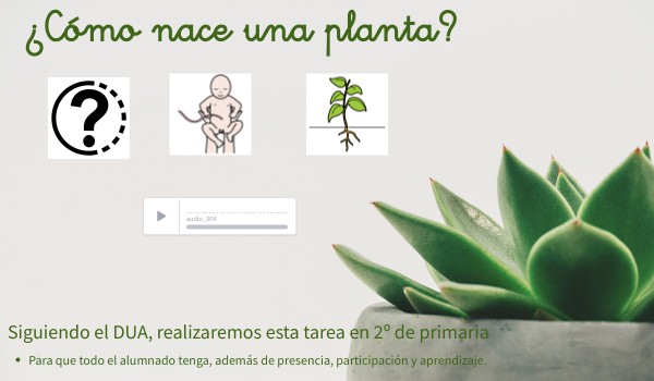 ¿Cómo nace una planta? | Genially