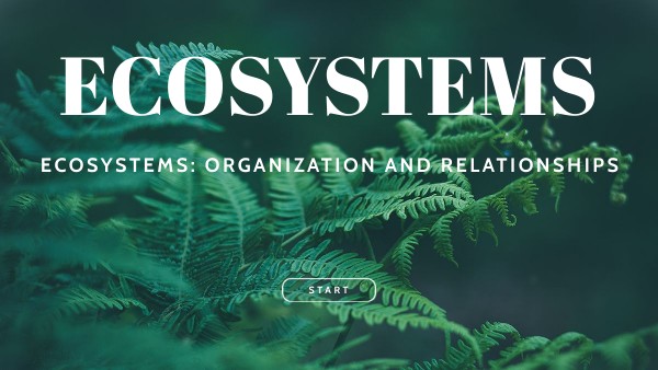 Ecosystems 24 | Genially