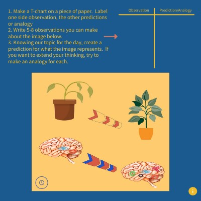 Structured Literacy Analogy