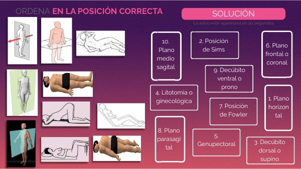 Posiciones anatómicas