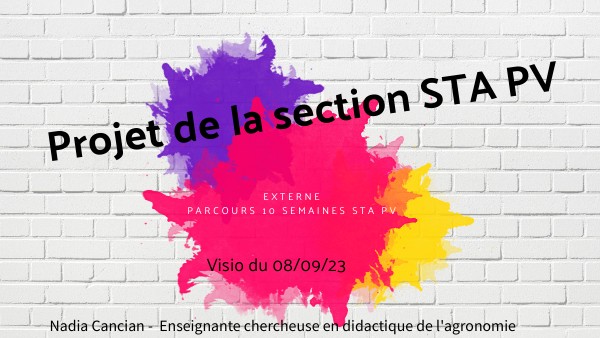 Projet section - visio 08 sept23