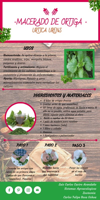 ficha de purin de ortiga | Genially