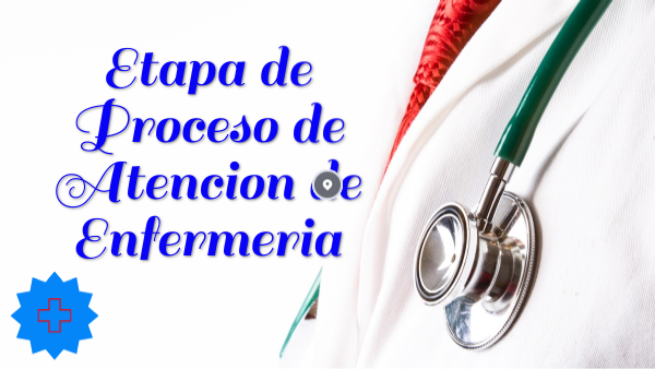 etapas de PAE | Genially