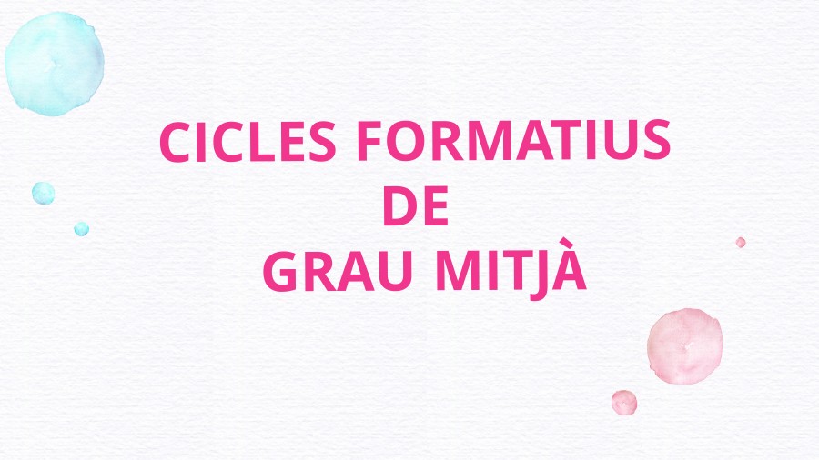 Alumnat 4t. CICLES FORMATIUS DE GRAU MITJÀ