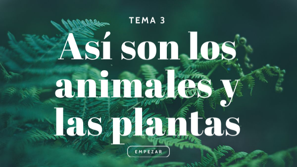 Así son los animales y las plantas 3º