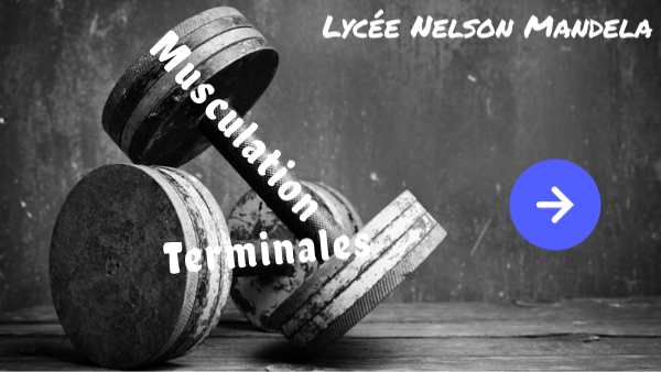 Terminales Musculation | Genially