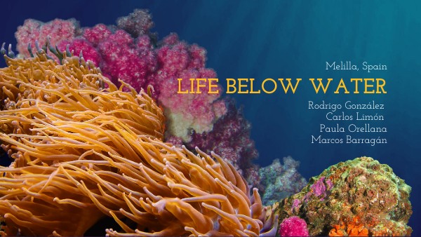 Life Below Water - Portugal