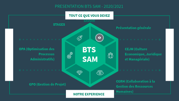Projet Présentation BTS | Genially