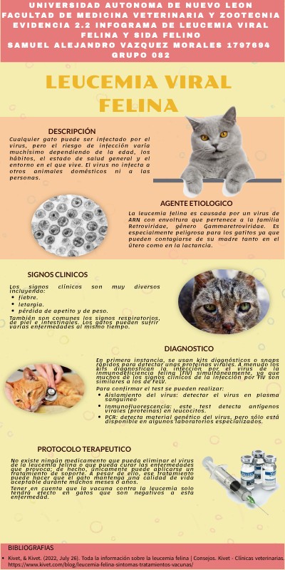 Infografia de la leucemia y sida felina | Genially