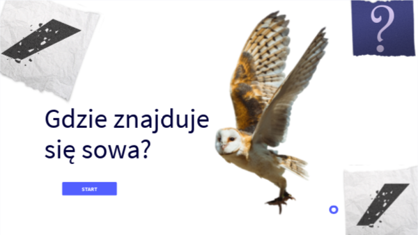 Gdzie znajduje się sowa? | Genially