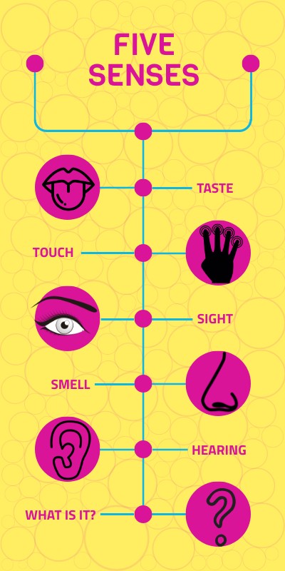 FIVE SENSES