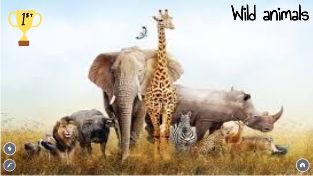 Superlatifs - Endangered animals | Genially