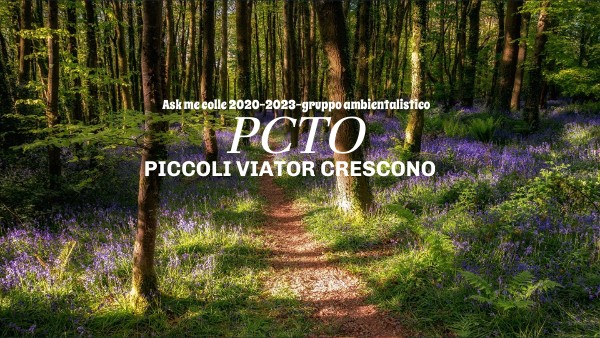 SPRING DOSSIER | Genially