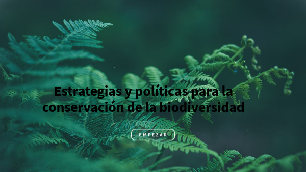 Estrategias y políticas para la conservación de la biodiversidad | Genially
