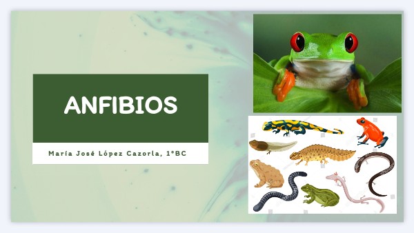 PRESENTACIÓN ANFIBIOS | Genially