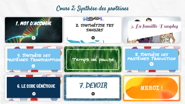 Cours 2 : Fin ADN et synthèse des protéines | Genially