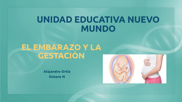 El Embarazo y la Gestación | Genially