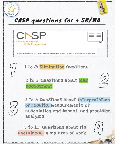 MD3. 3.3 CASP checklist (EN) | Genially