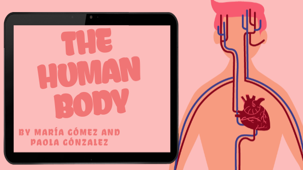 The human body