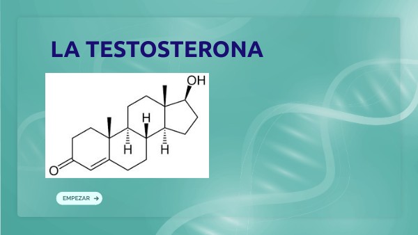 Testosterona | Genially