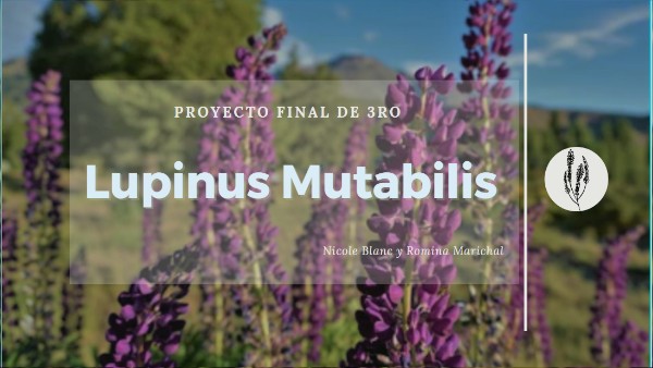 PRESENTACIÓN PROYECTO FINAL 3ro | Genially