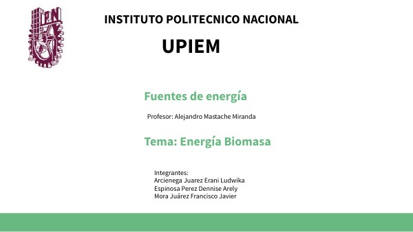 energia biomasa
