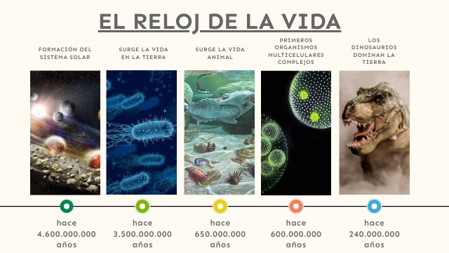 EL RELOJ DE LA VIDA | Genially