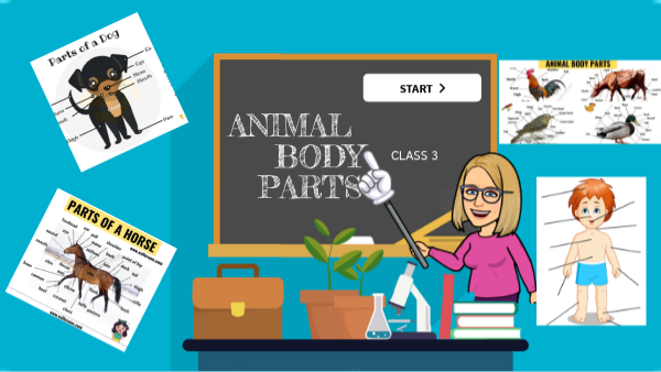 bODY PARTS ANIMALS 3