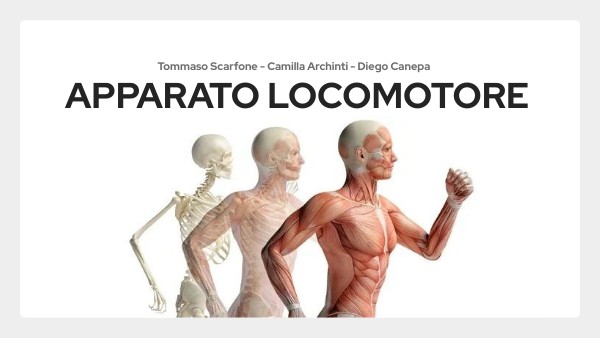 apparato locomotore | Genially