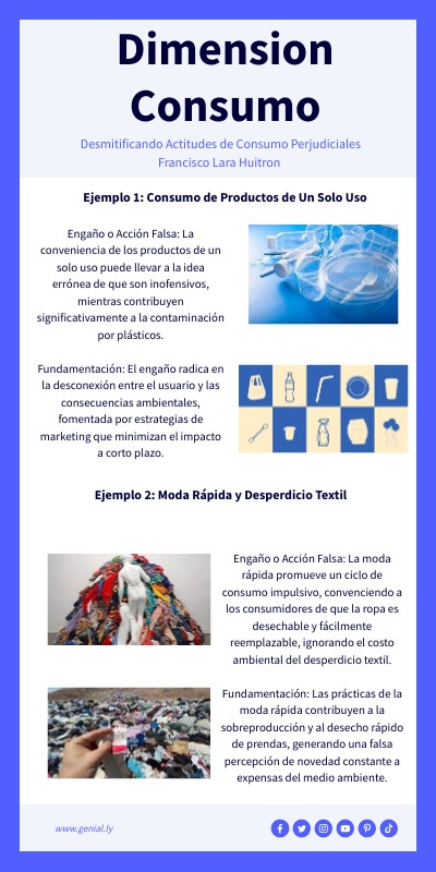 INFOGRAFÍA BÁSICA Dimension de Consumo