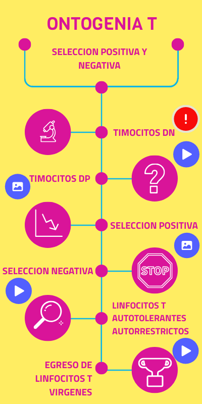 ONTOGENIA T | Genially