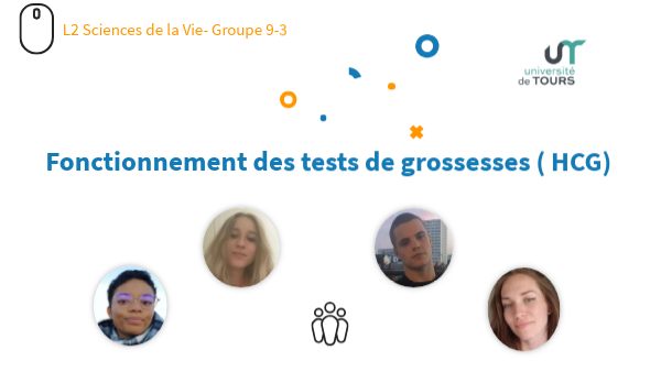 Présentation de l'équipe 9-3