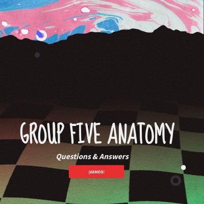 Group Five Anatomy/ FLIPCARD | Genially