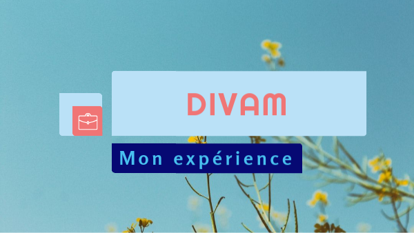 CCF1 Fiche E6 n°1 | Genially