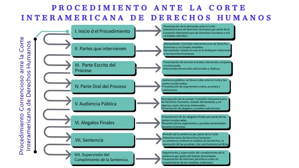 Procedimiento ante la Corte Interamericana de Derechos Humanos