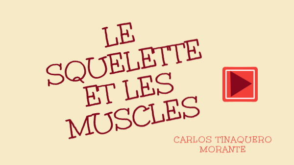 LES MUSCLES ET LE SQUELETTE | Genially