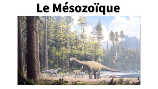 2. Mésozoïque 2024
