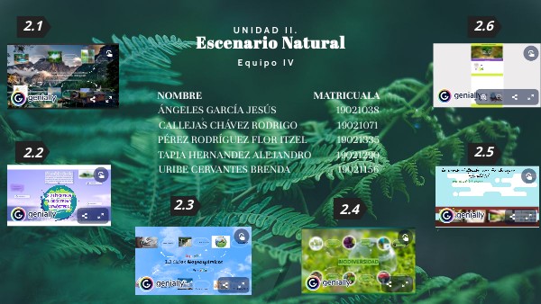 Unidad ll. Escenario Natural | Genially
