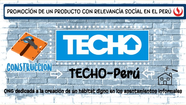 TECHO PERÚ