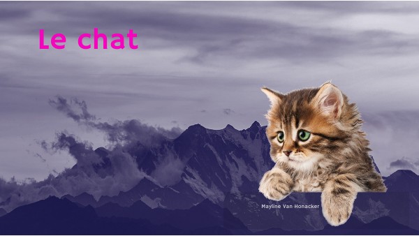 Le chat | Genially