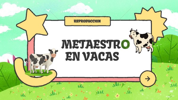 TARJETA INFORMATIVA, VACAS EN METAESTRO | Genially