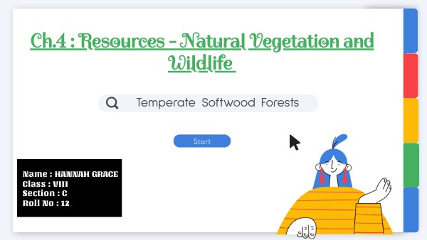 Temperate Softwood Forest PPT