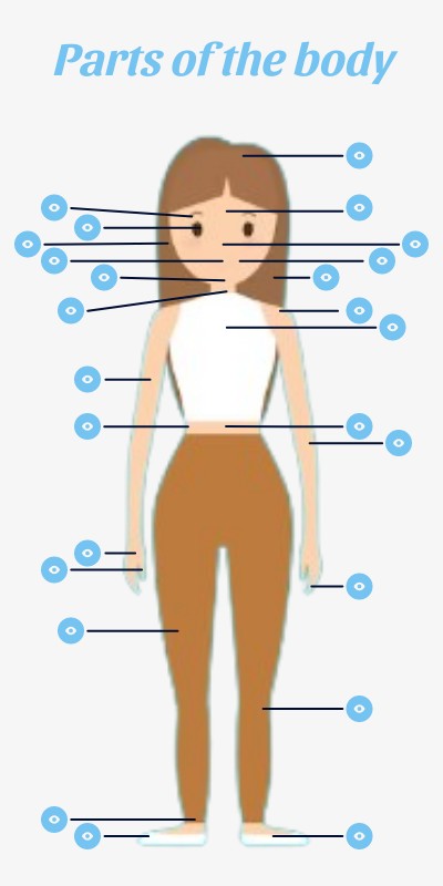 Parts of the body | Genially