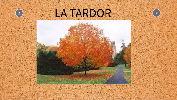 LA TARDOR