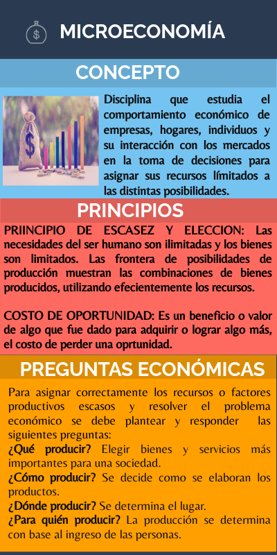 INFOGRAFIA MICROECONOMIA | Genially