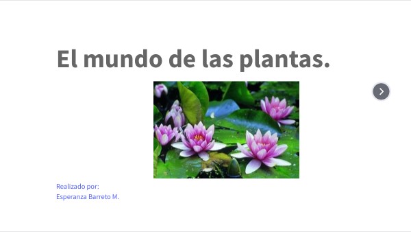 El mundo de las plantas